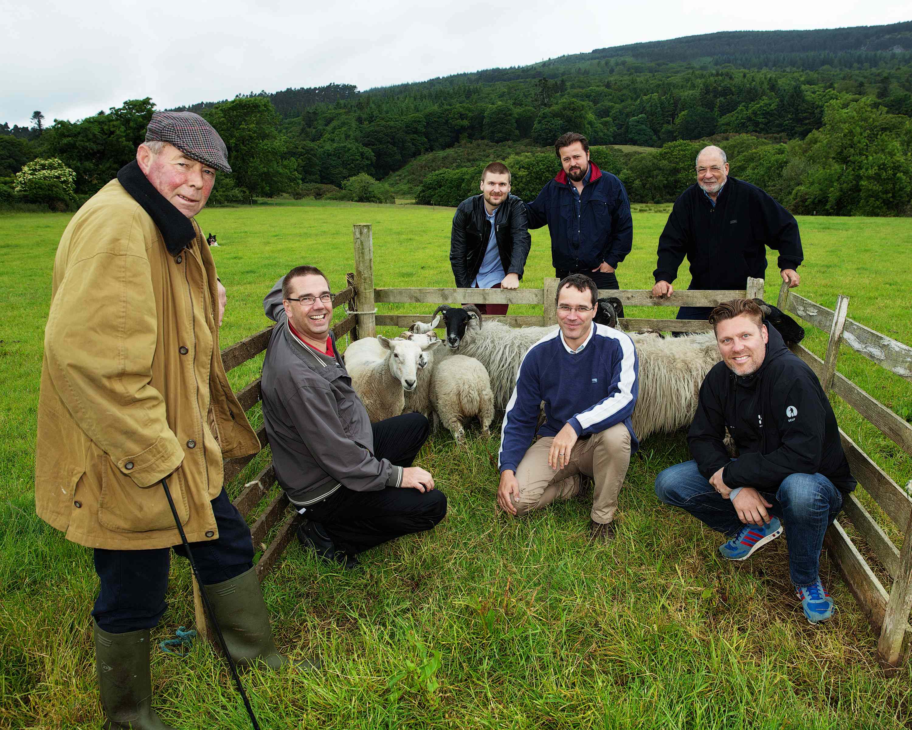 Irish Sheep Herder