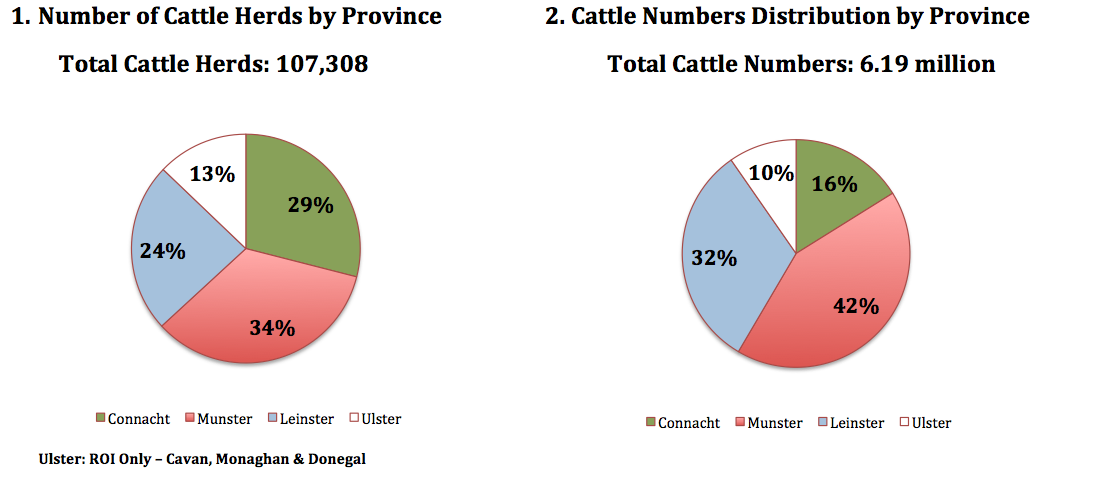 Regional divide in herd sizes - Agriland.ie