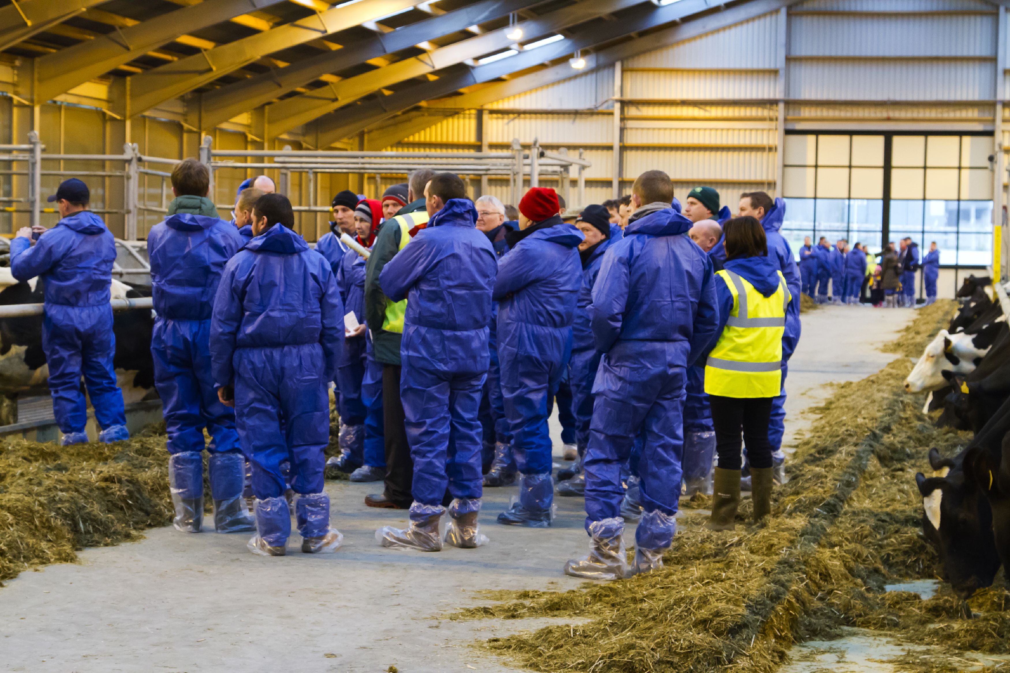 900 farmers attend dairy unit training - Agriland.ie