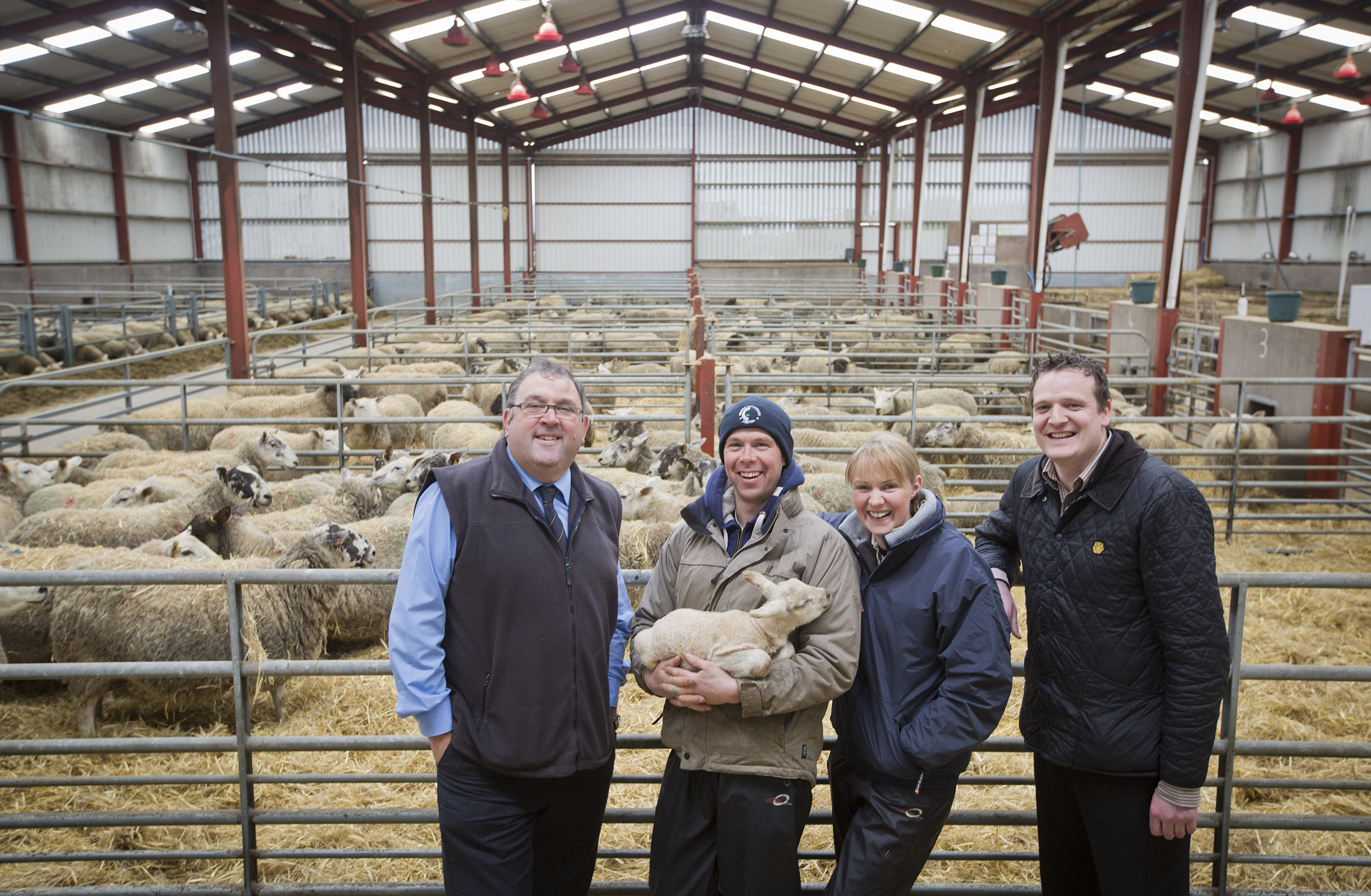 Farmers with spare sheds encouraged to grow turkeys in run-up to ...
