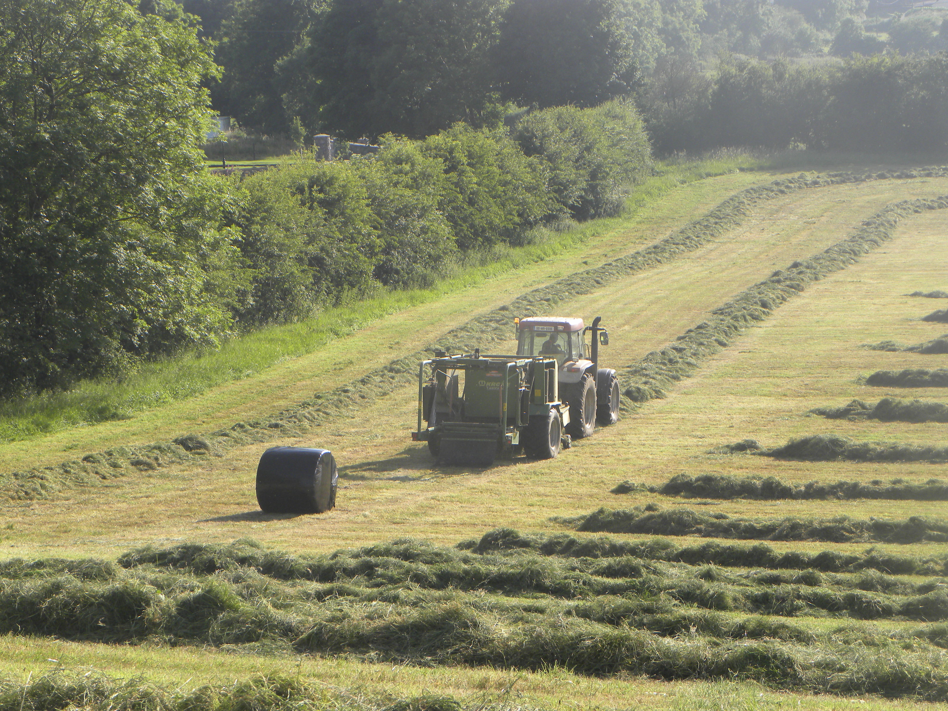 Grass growth: The differences are uncanny - Agriland.ie