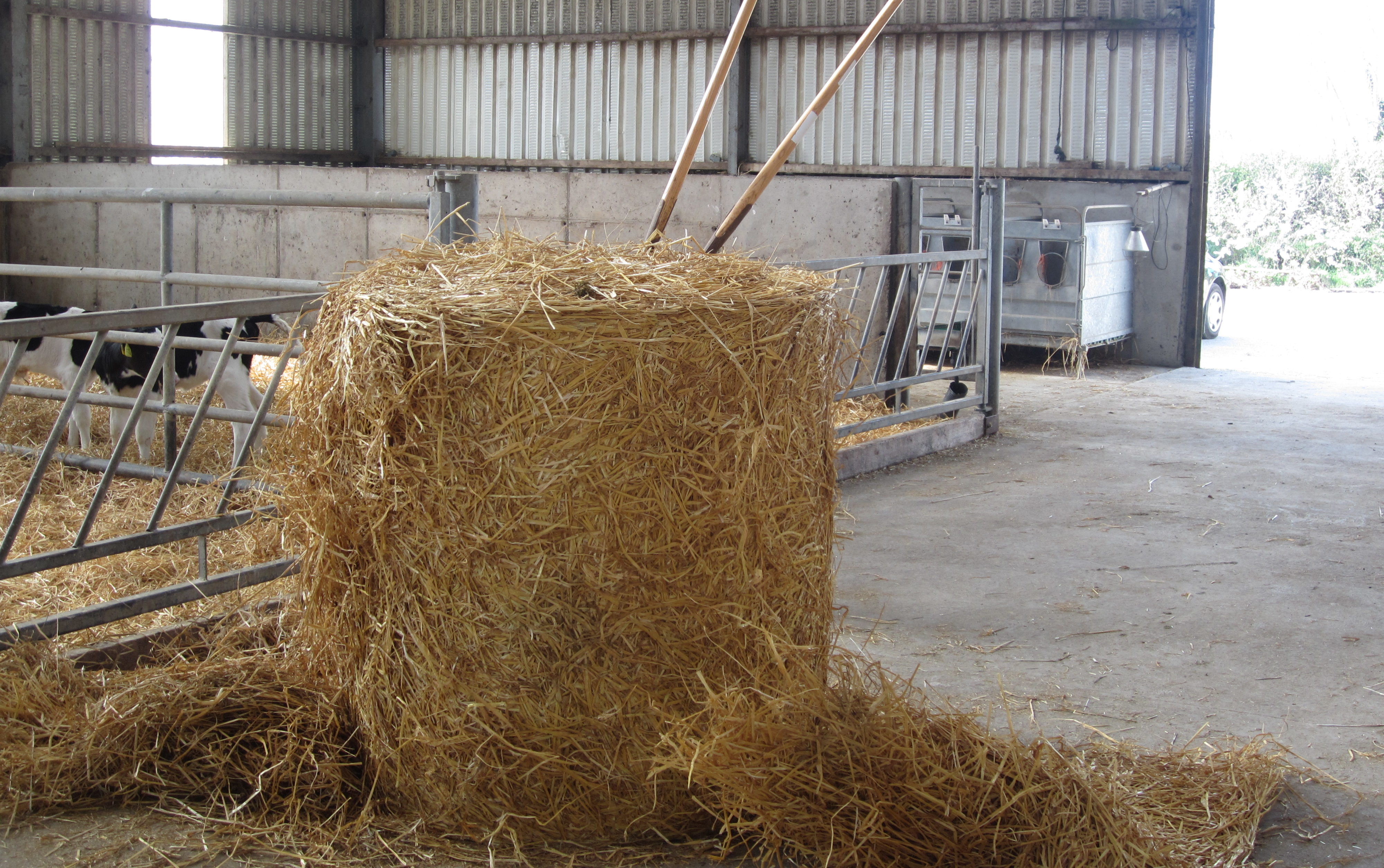 Bales of straw costing as much as bales of hay and silage - Agriland.ie