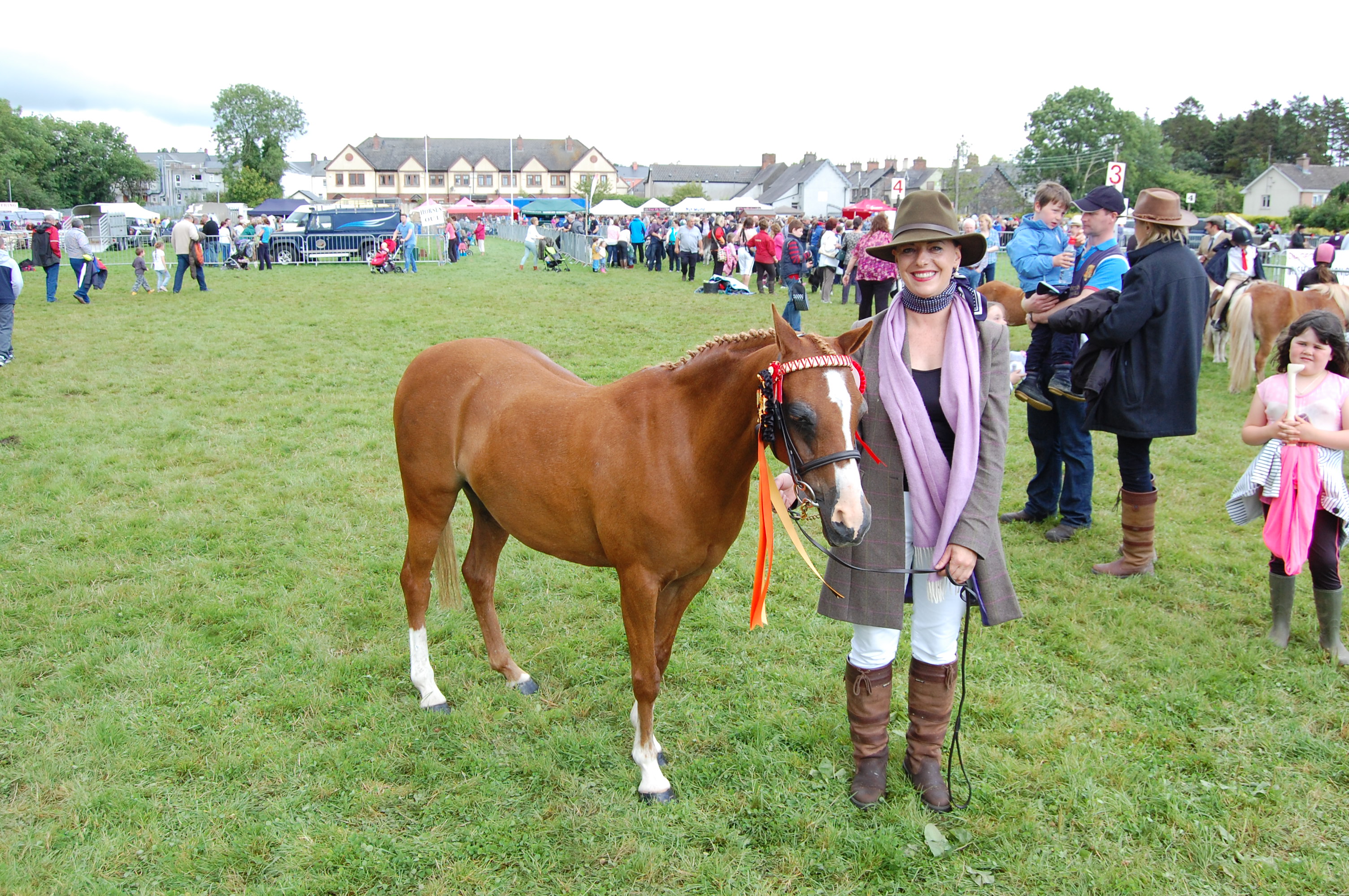 Virginia Show 2015: Full results - Agriland.ie
