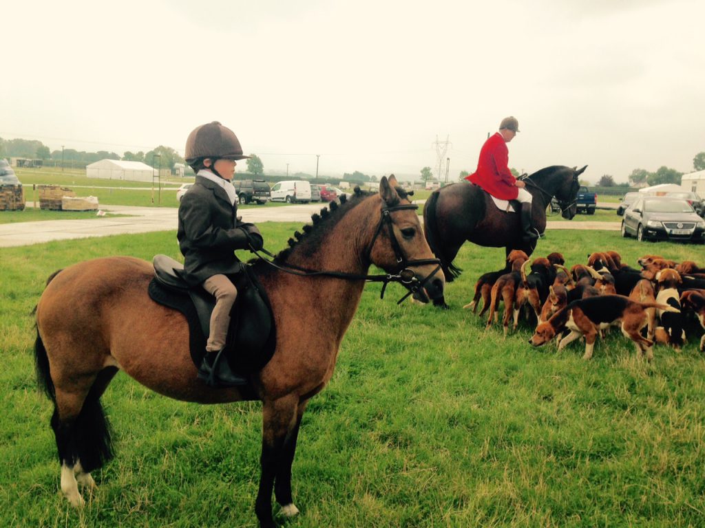 Preparations well underway in Co. Laois for Ploughing 2015 - Agriland.ie