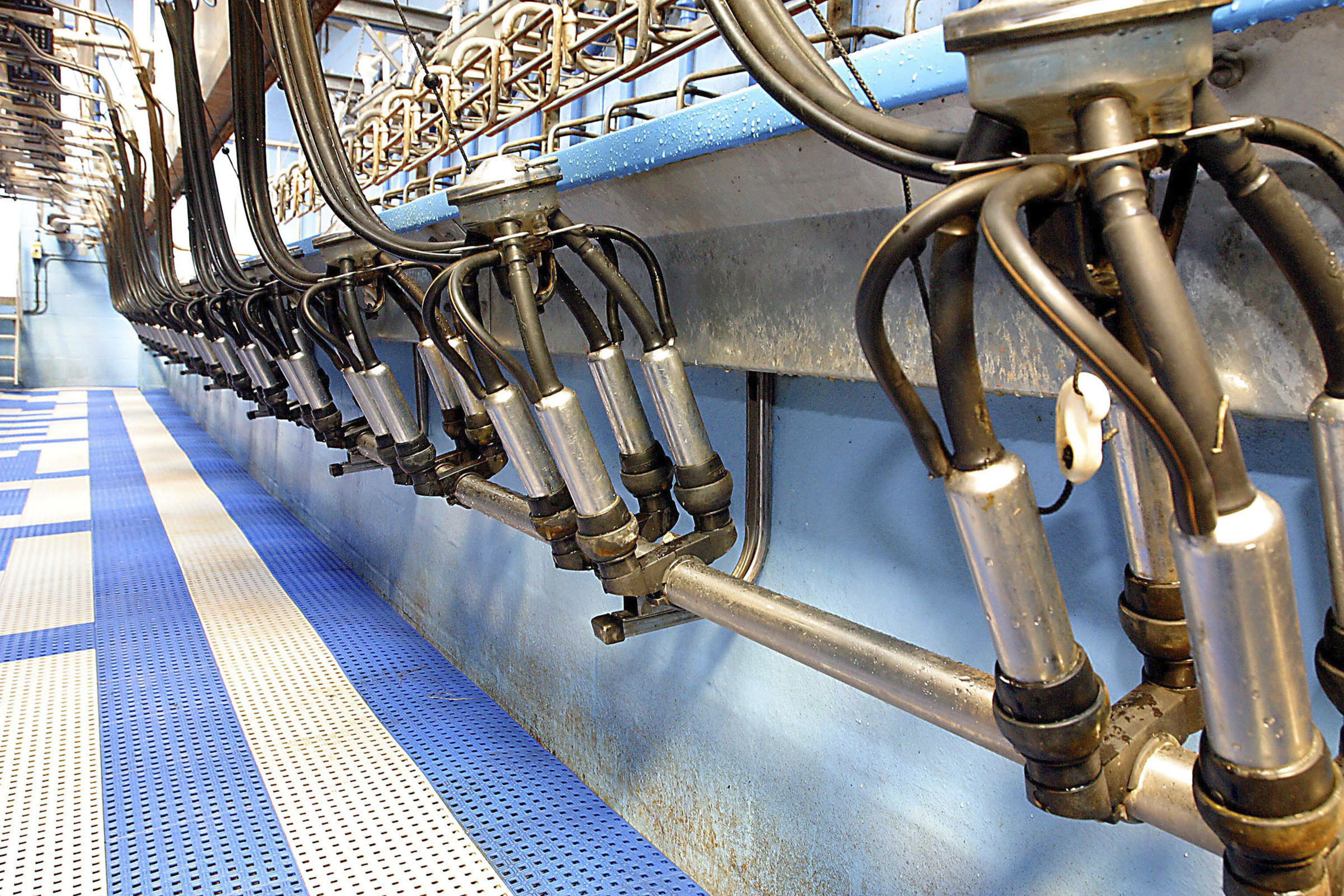 EU milk deliveries to grow by more than 1% in 2016 - Commission ...