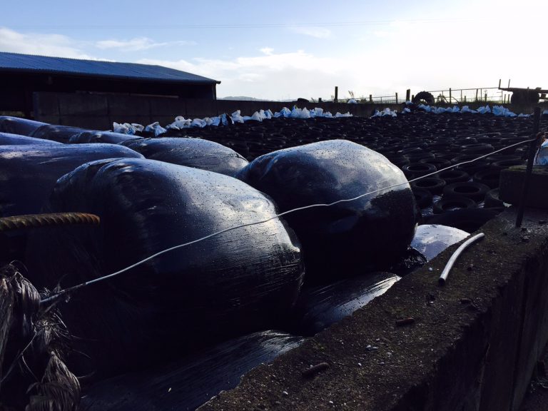 How to Test and Analyse Your Silage Pit