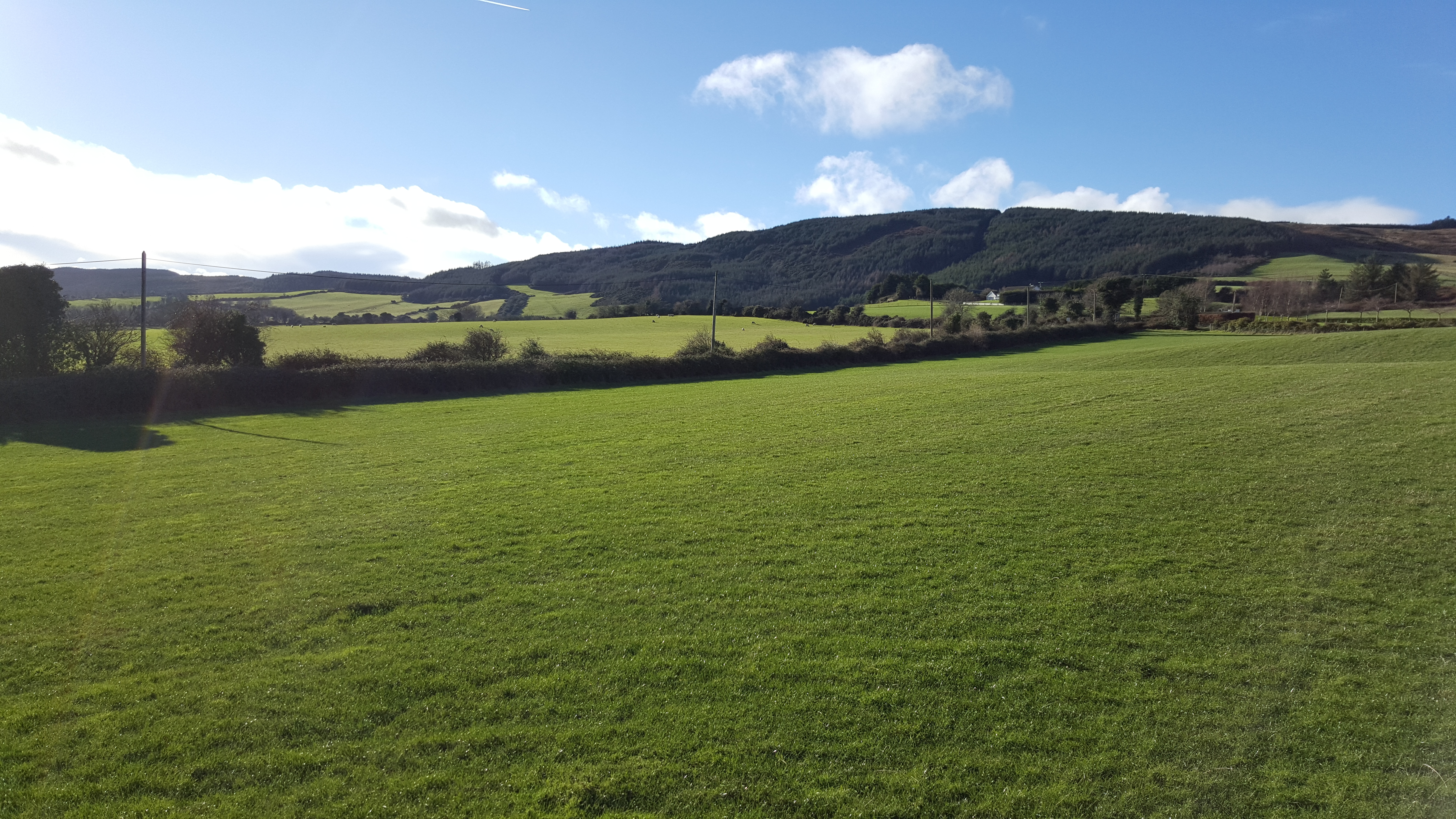 2018 set to be an 'interesting year' in the agricultural land market ...