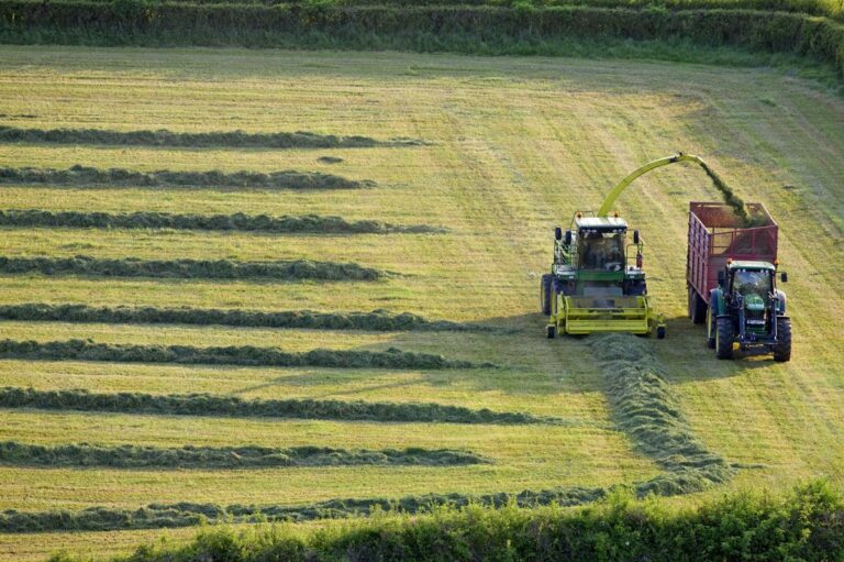 Is wilting grass silage really important? - Agriland.ie