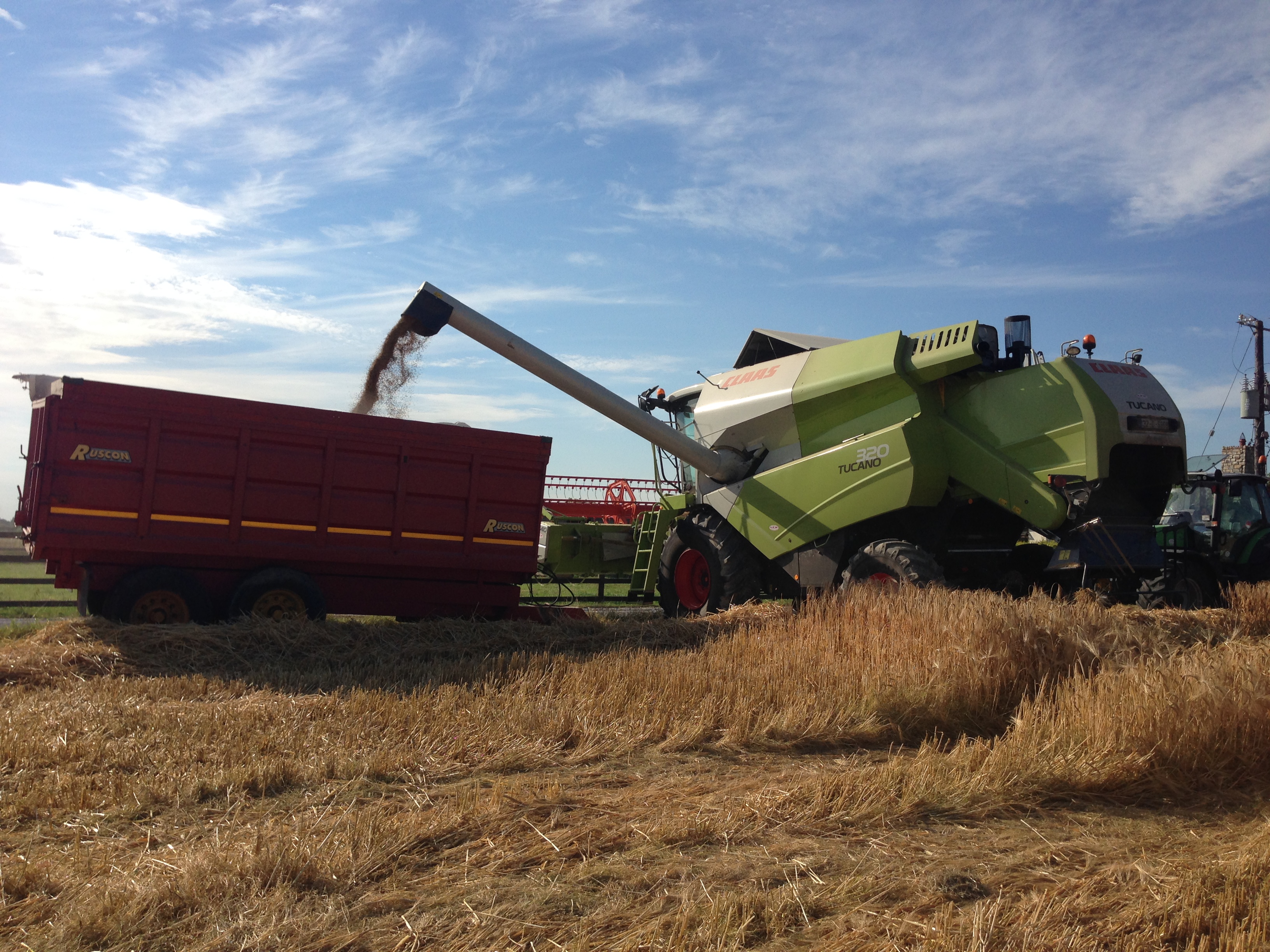 Video: Harvest 2016 gets underway with initial reports of yields down ...