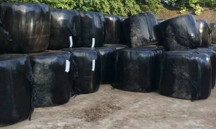 10 steps to take in order to reduce damage to silage bales - Agriland.ie