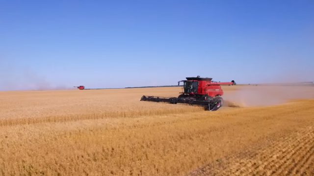 Video: Great footage of over 2,000ac of wheat being harvested in the US ...