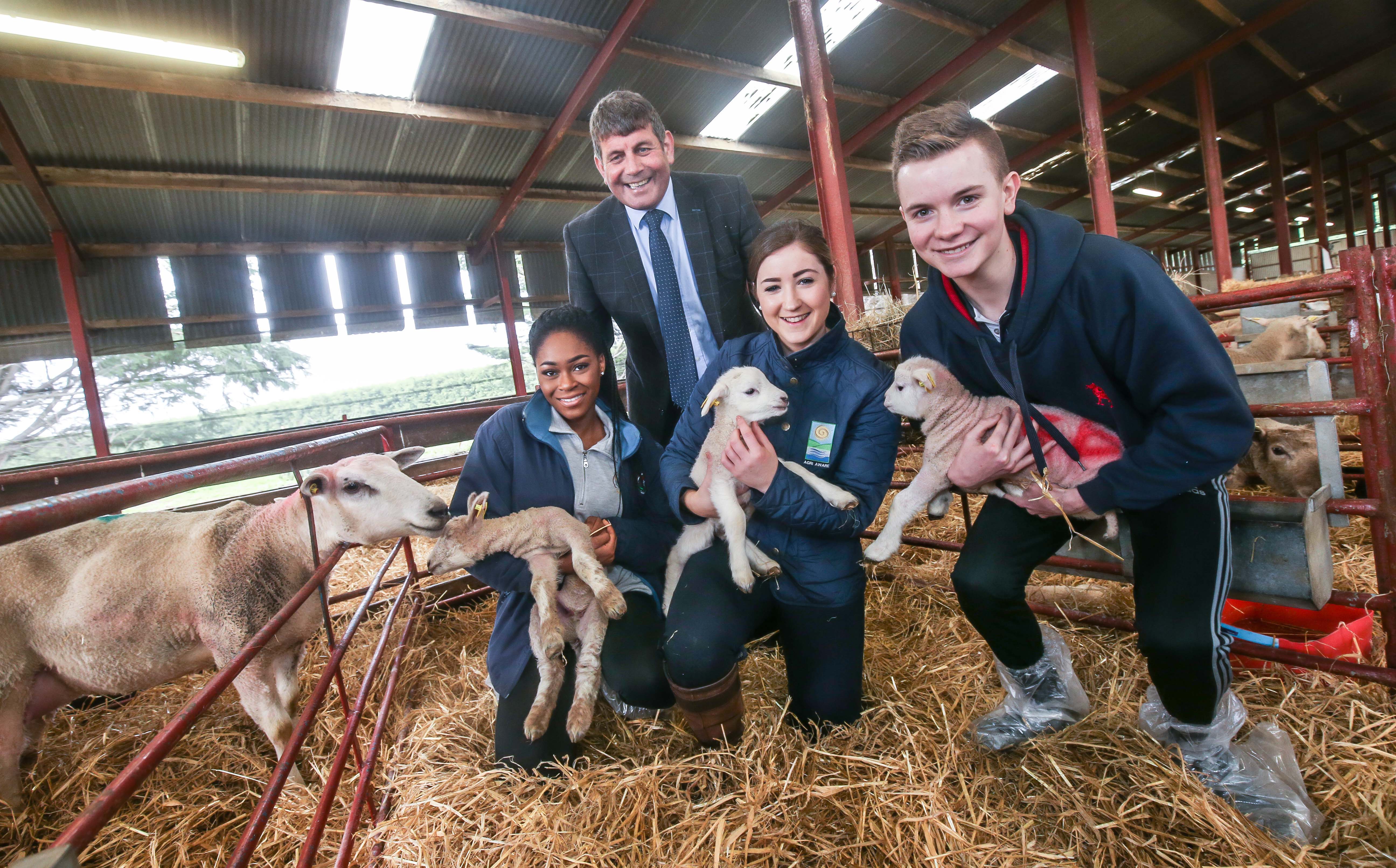 3,000 students take part in Agri Aware’s Farm Walk and Talk series ...