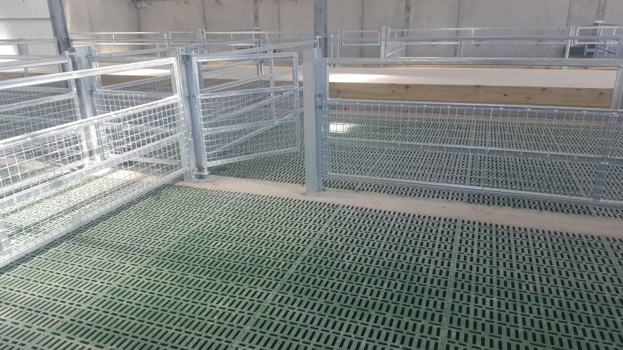 Pics: A sheep shed designed to 'make life easier' during the lambing ...