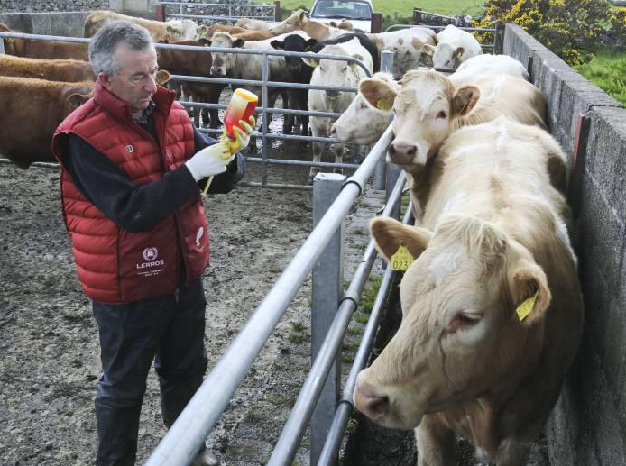 Major Food service Companies Pledge To Go antibiotic free Agriland ie major-food-service-companies-pledge-to-go-antibiotic-free-agriland-ie