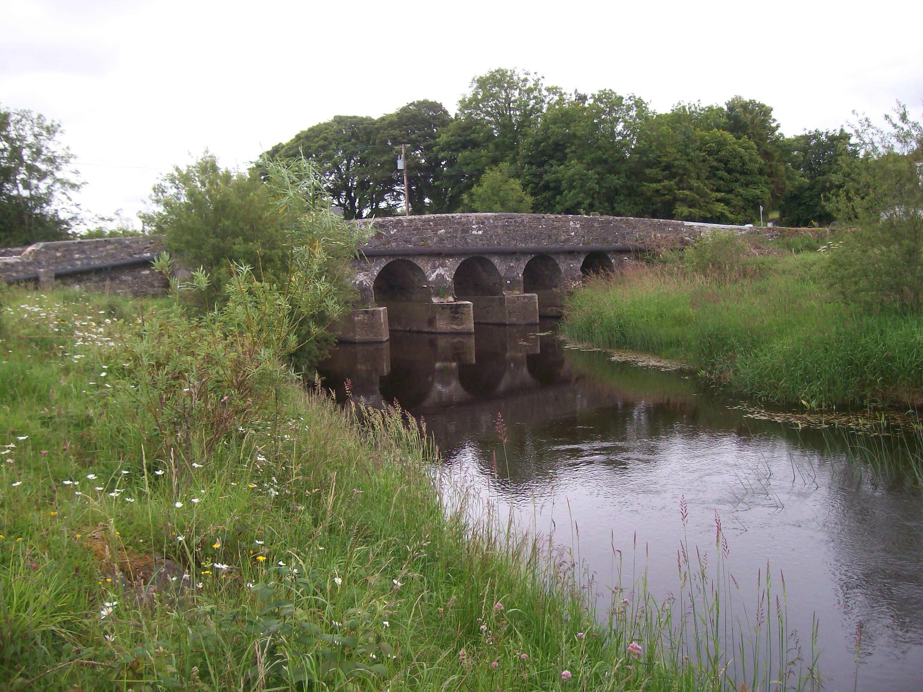 More effort needed for Irish water quality, EPA report finds - Agriland.ie