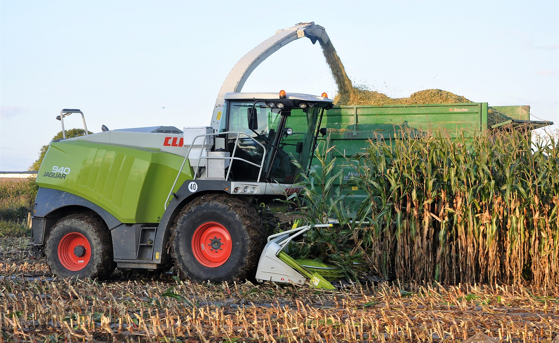 Tractor sales down in big German market; other sectors positive ...