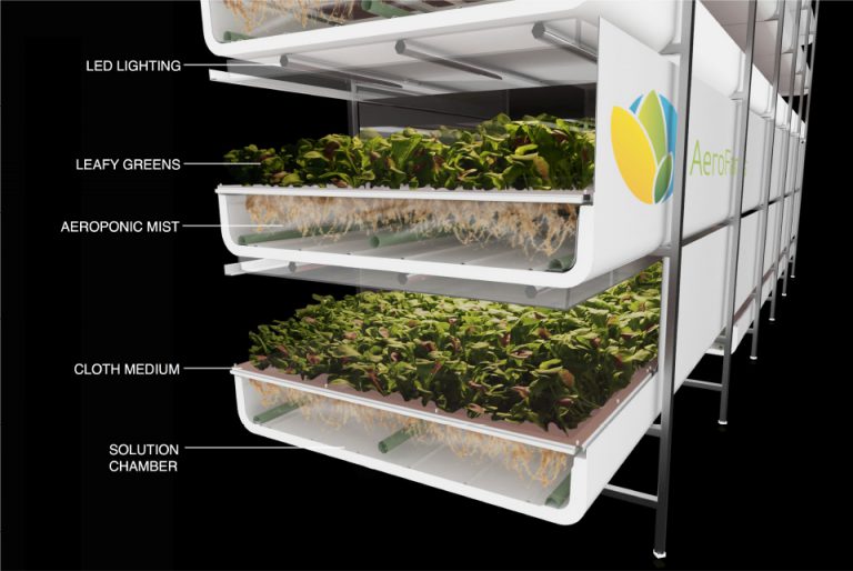 Organic farming on a shelf with hydroponics - Agriland.ie