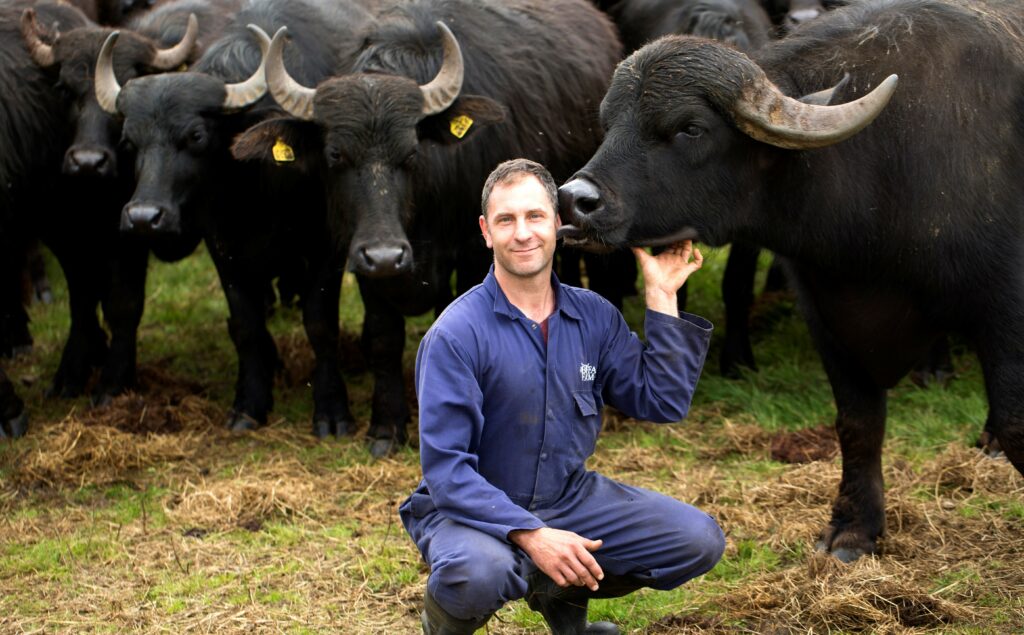 TV producers looking to dig into Northern Irish farming life - Agriland.ie