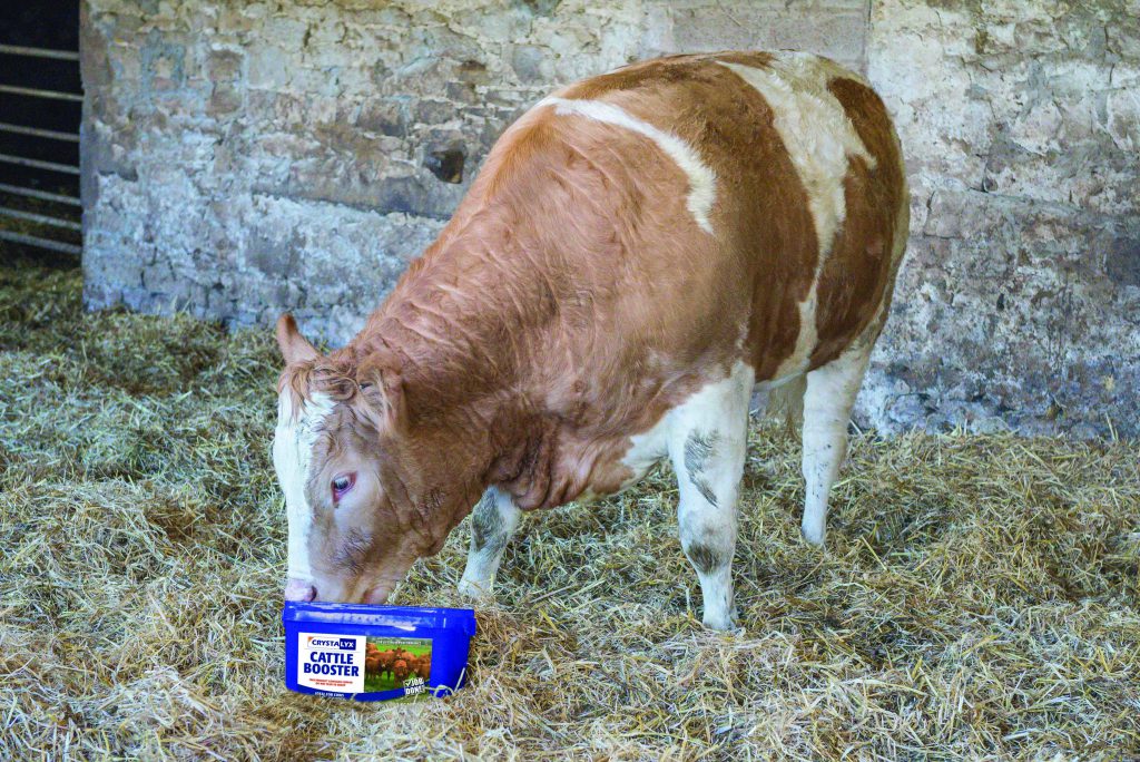 Making the most out of forage with Crystalyx Cattle Booster - Agriland.ie