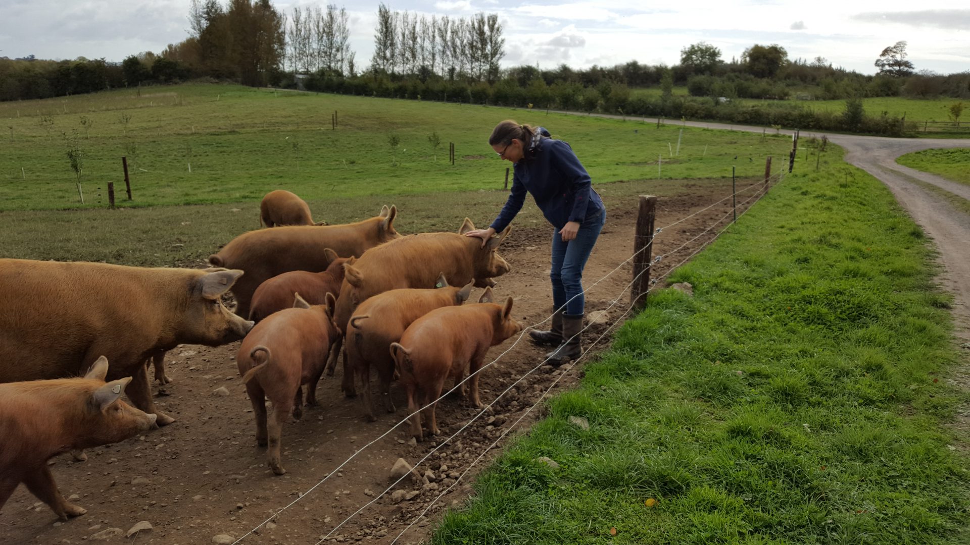 Slane estate 'rocks on' with farm diversification projects - Agriland.ie