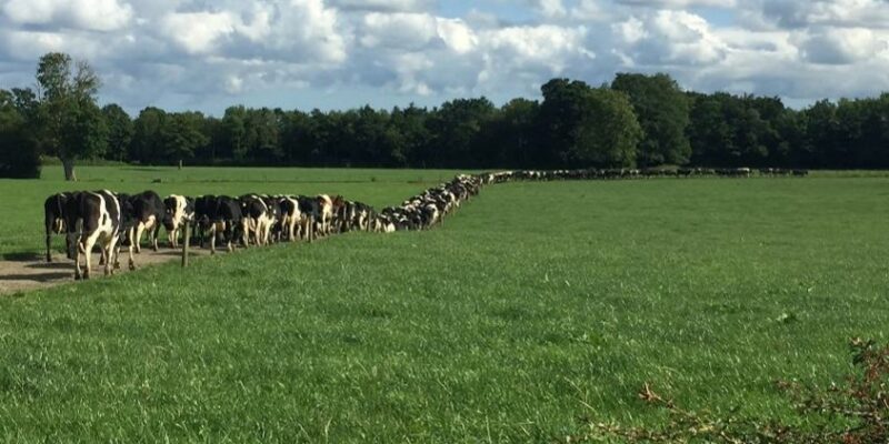 Growing a 400-cow unit with work/life balance in mind - Agriland.ie