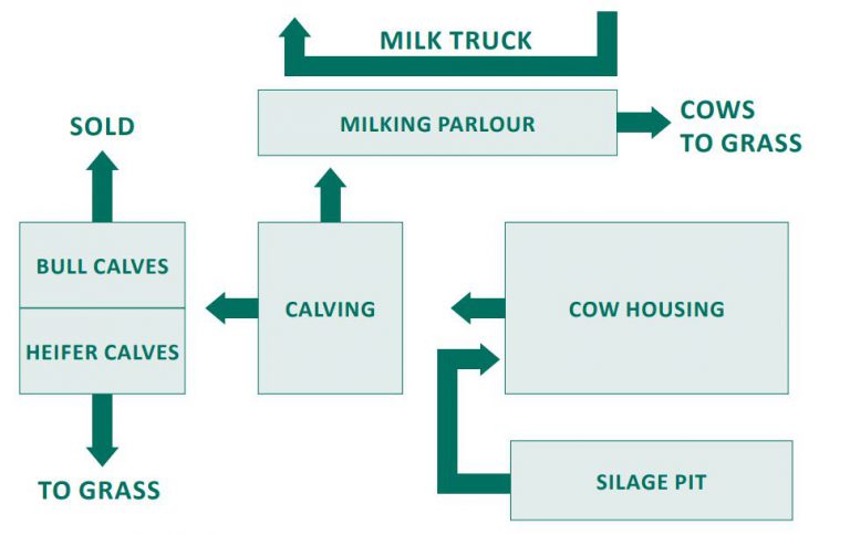 Dairy focus: Gearing up to calve 220 cows in February - Agriland.ie