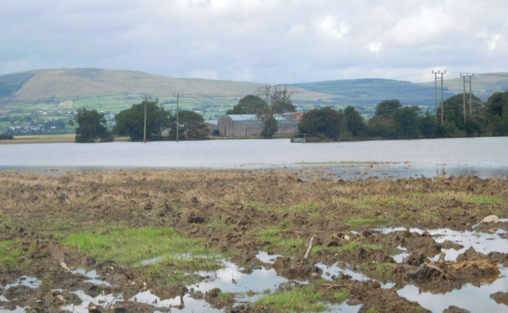 Climate change farm study in progress in Galway - Agriland.ie