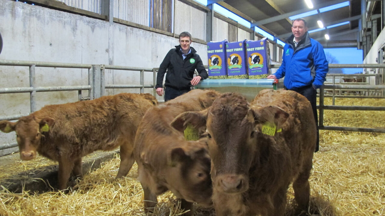 First Fibre: The first of its kind - Agriland.ie