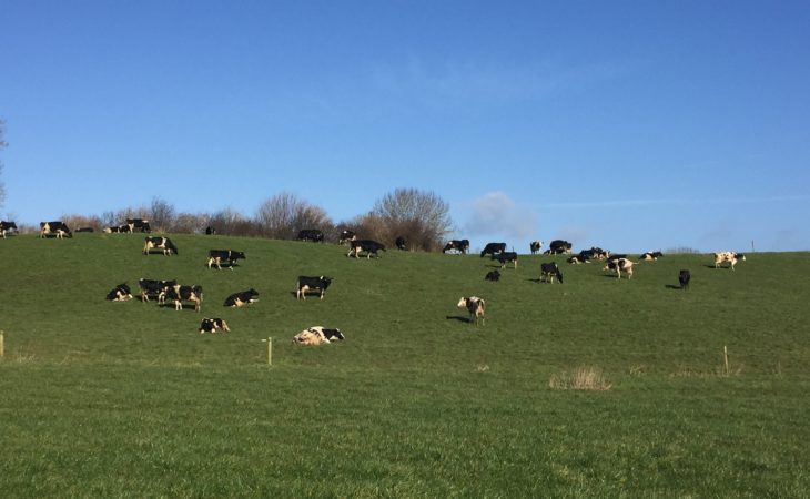 Latest Farming News - Farming In Ireland - Farm Ireland - Agriland