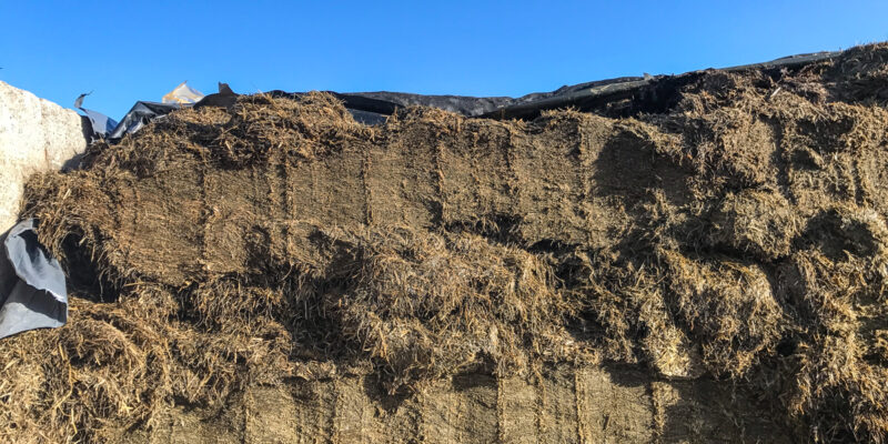 Top tips to reduce the spoilage of your silage - Agriland.ie