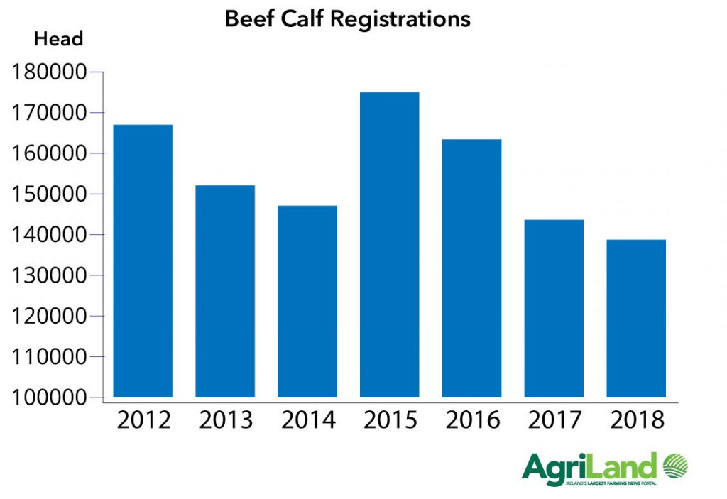 Suckler calf registrations plummet to lowest level in 7 years - Agriland.ie