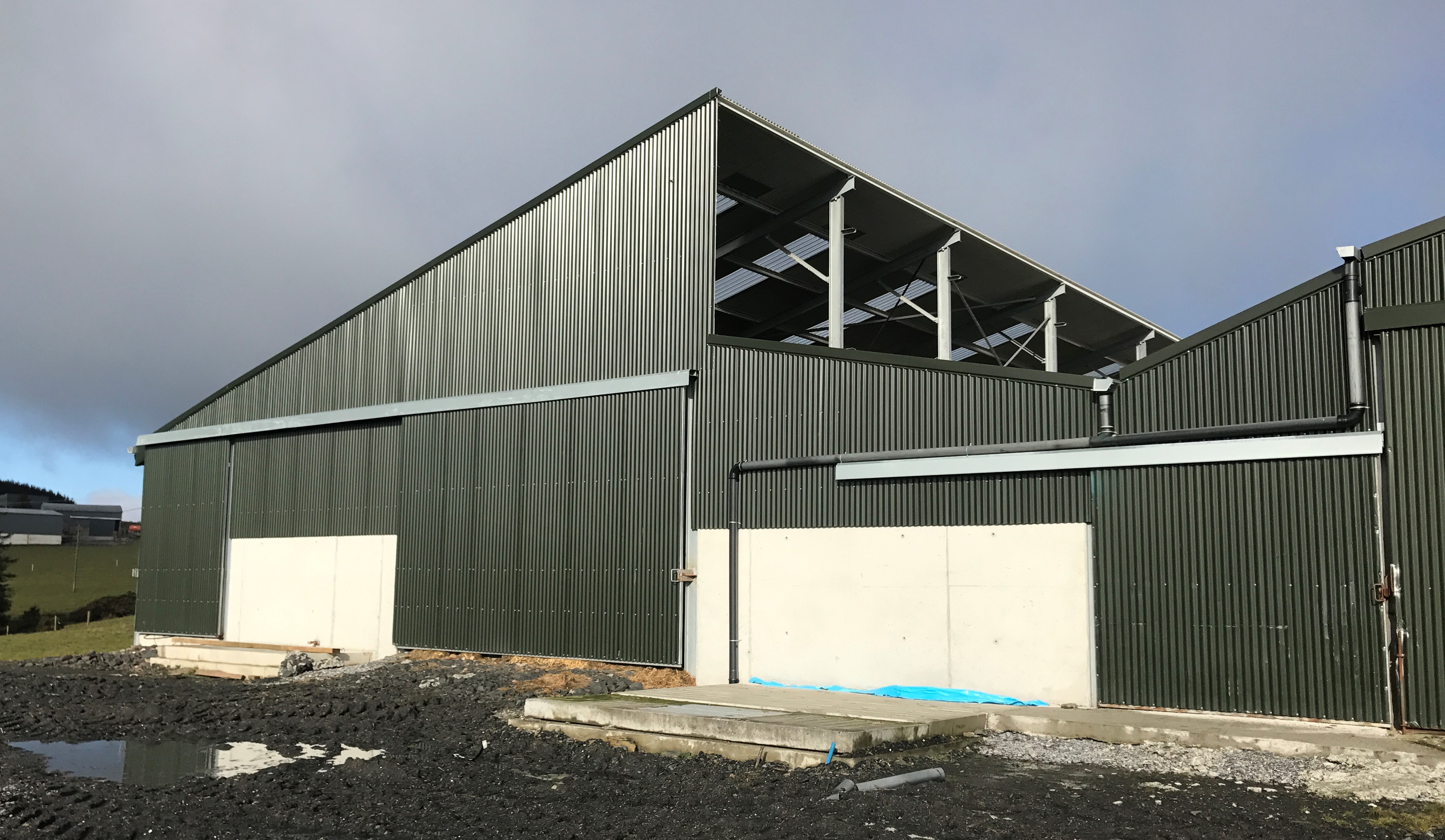 Buildings focus: A new beef shed dictated by an existing unit in Co ...