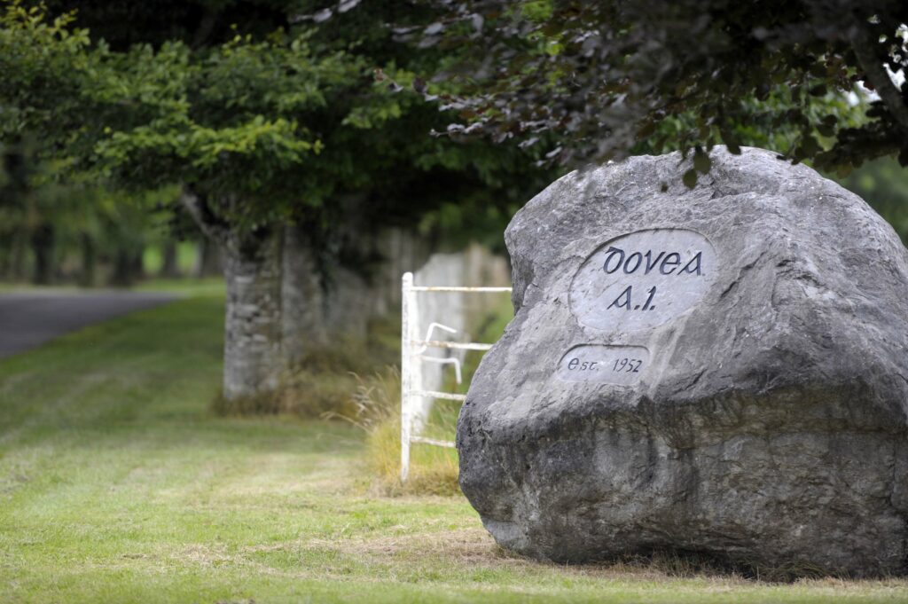 Dovea Genetics: The story so far - Agriland.ie