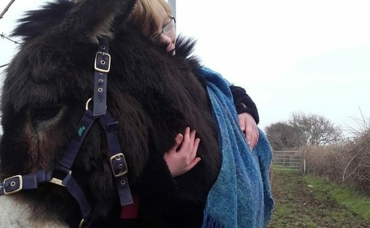 'Facilitating social farming helps combat rural isolation' - Agriland.ie