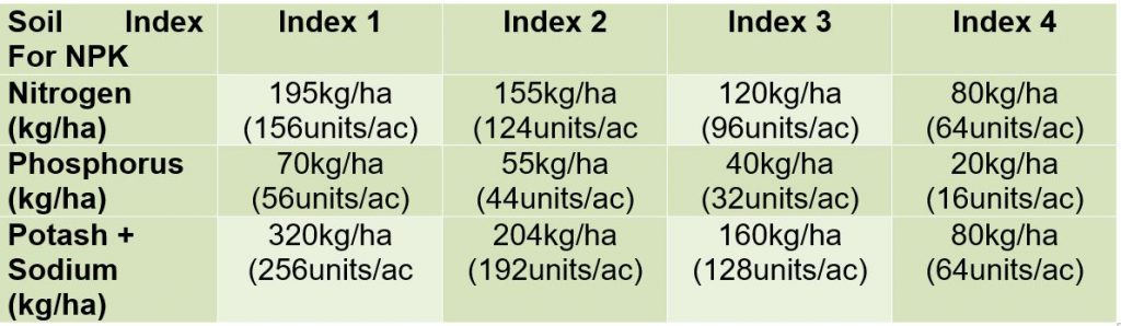 Tips for growing and feeding fodder beet - Agriland.ie