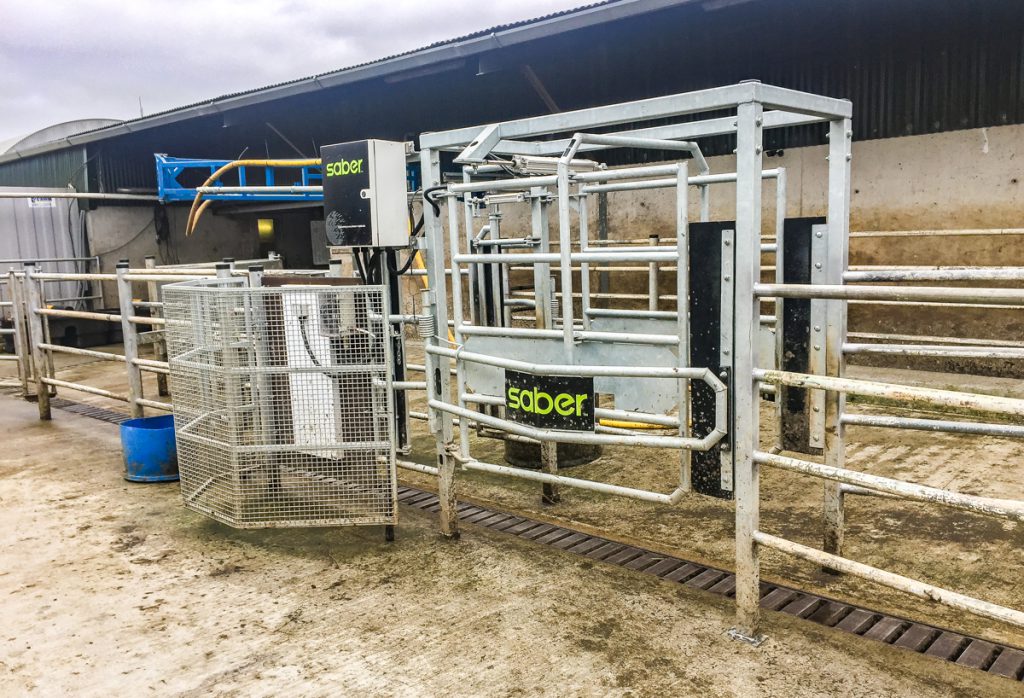 From contracting to milking 200 cows: The role drafting plays on one Co ...