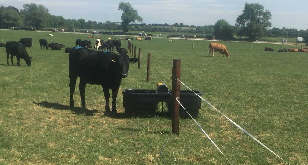 Getting the basics right when it comes to grazing infrastructure ...