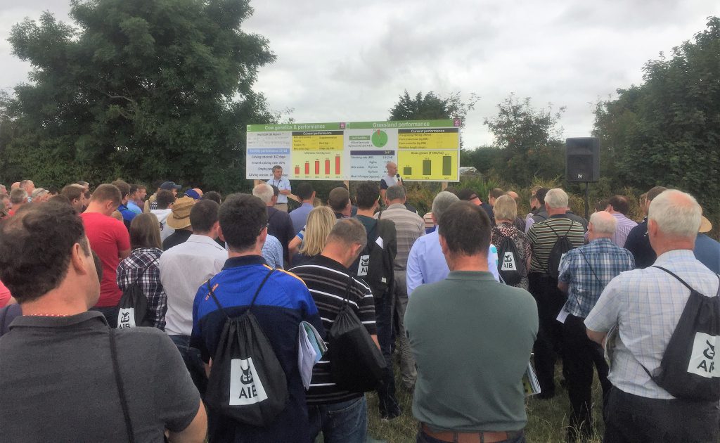 Dairy focus: Picking the low-hanging fruit to improve profitability ...