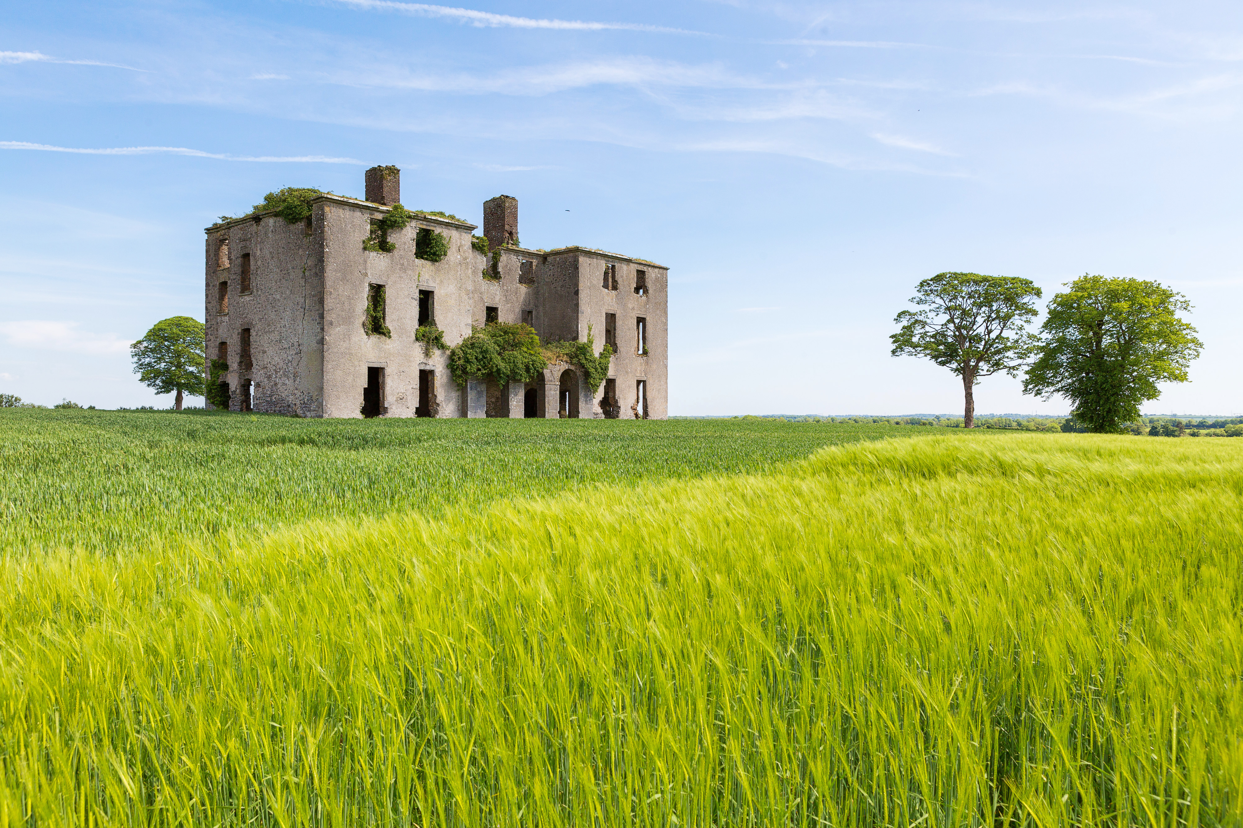 Rathcoffey castle and farm offers 'highly productive' lands - Agriland.ie