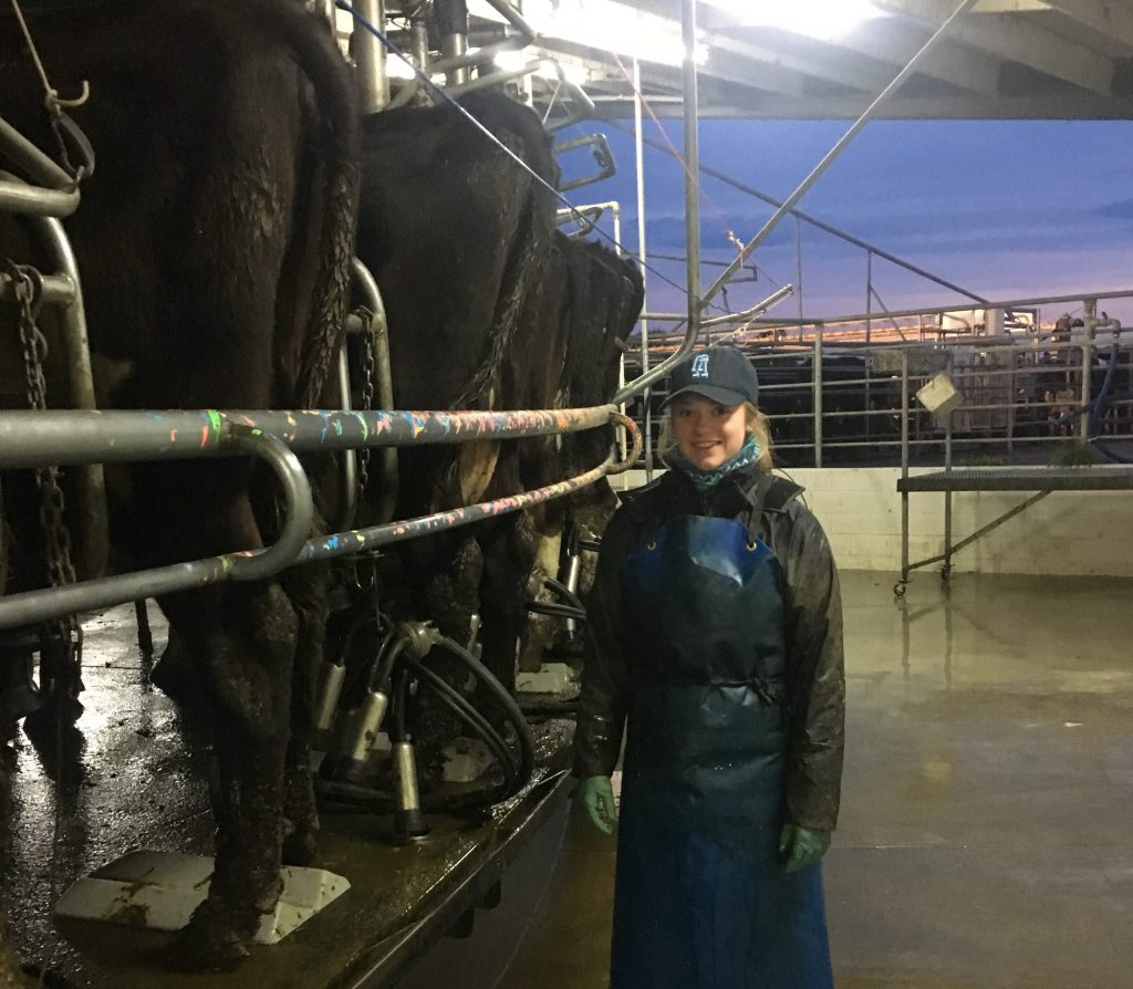 'Life on a 2,500-cow dairy farm is hectic': Waterford woman - Agriland.ie