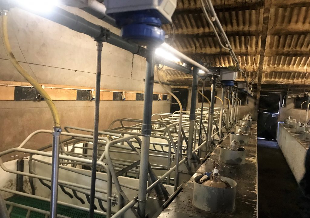 'Prime location' for 1,000-sow, fully integrated pig unit in Co ...