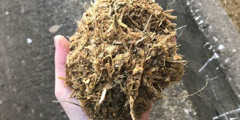 Ration composition: What should I feed to my finishing cattle ...