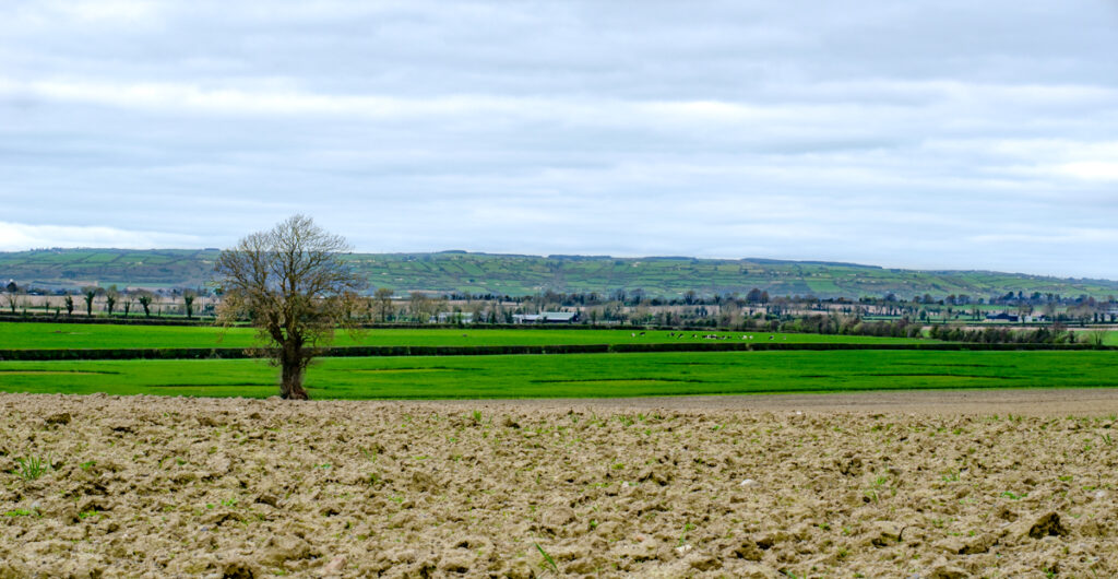What the new mapping system means for farmers - Agriland.ie