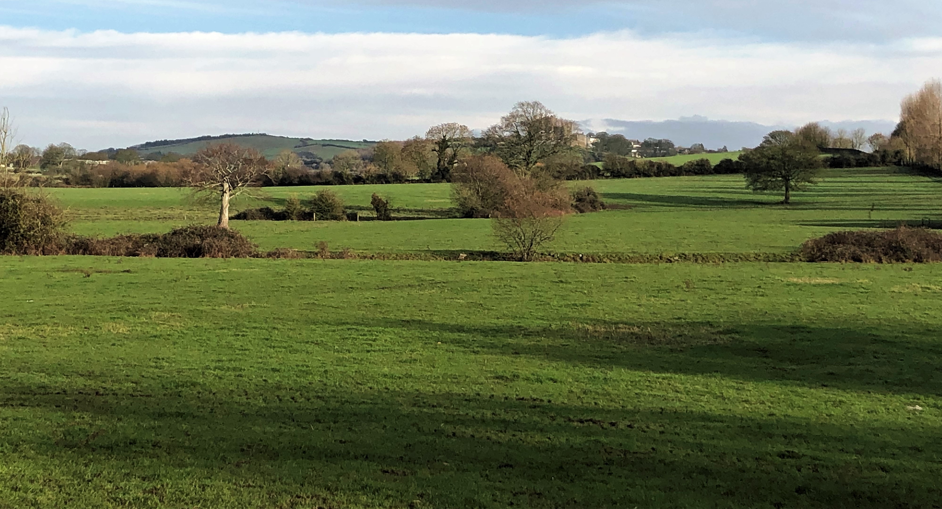 Picturesque residential farm on 49ac laid out in permanent pasture ...