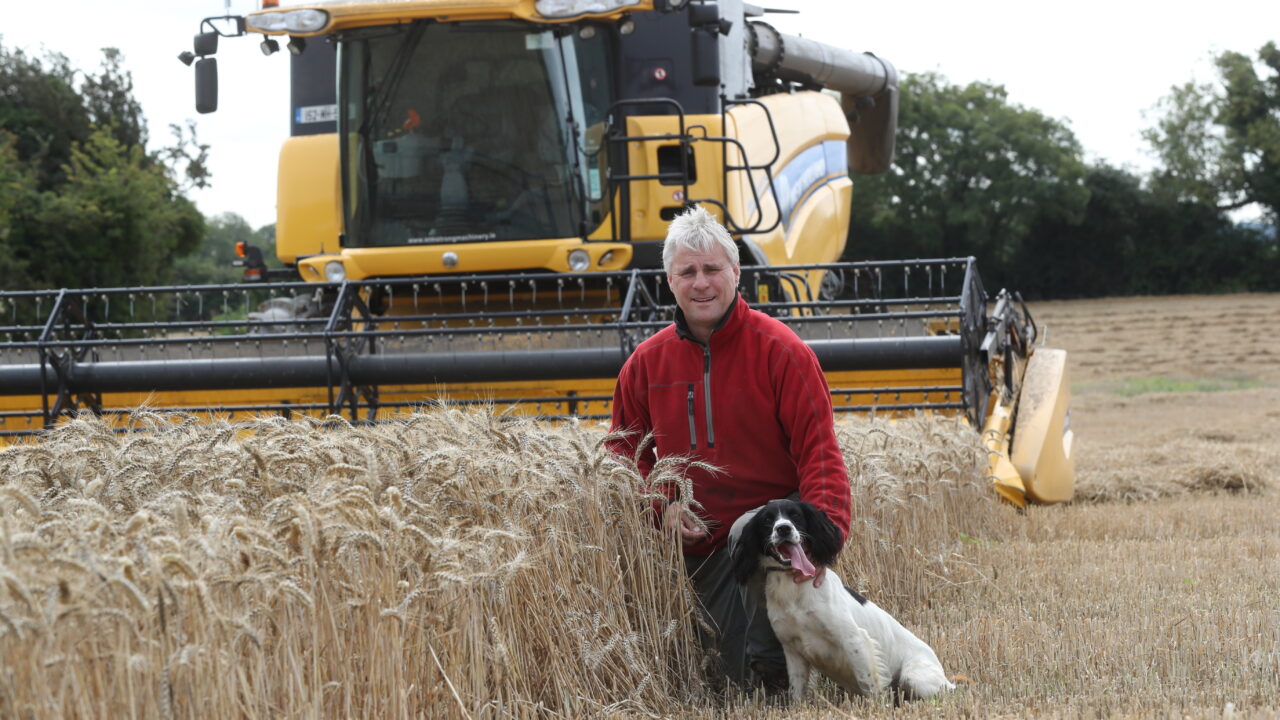 Planning ahead for NPK application on your spring cereals - Agriland.ie