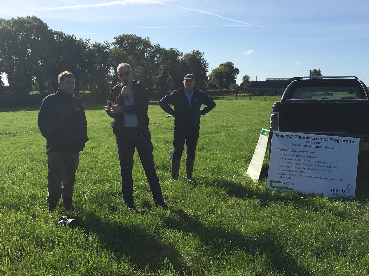 How this Co. Laois farmer went from 315kg to 520kg of milk solids in 5 ...