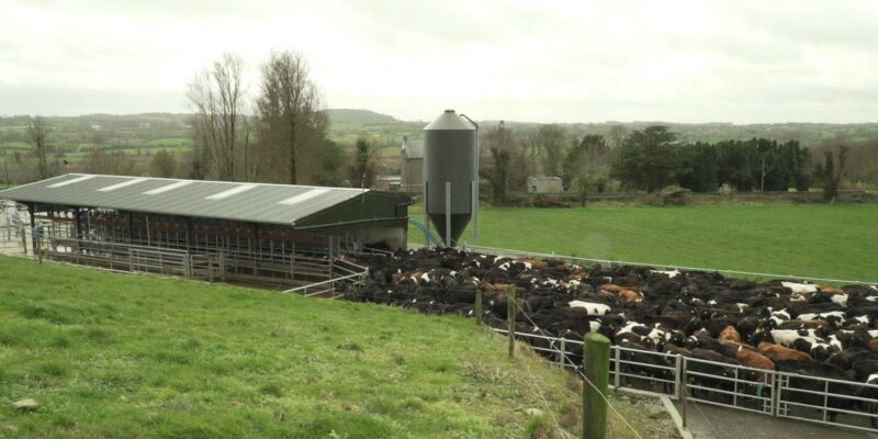99.7% of farms in Ireland are family owned; research finds - Agriland.ie