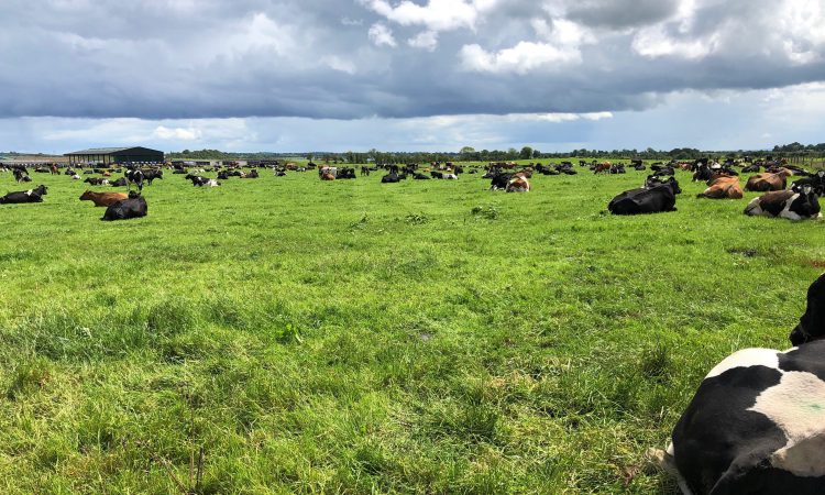 Latest Farming News - Farming In Ireland - Farm Ireland - Agriland