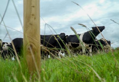 Latest Farming News - Farming In Ireland - Farm Ireland - Agriland