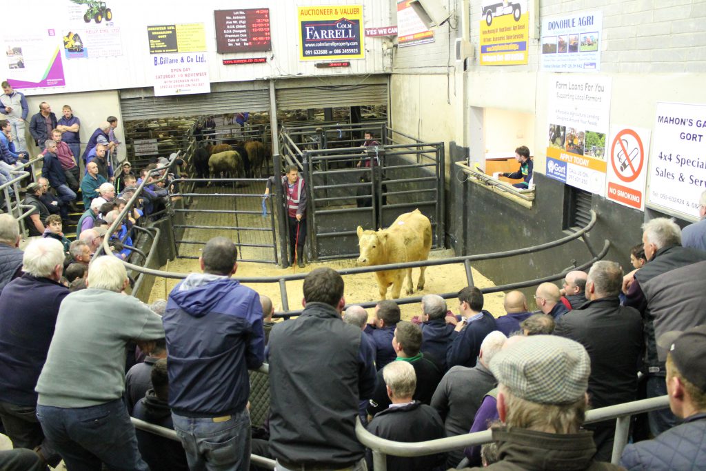 Gort Mart: Mixed ringside reaction to Irish Beef Sector Agreement ...